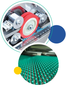 Our Products – Nashmir Capsule
